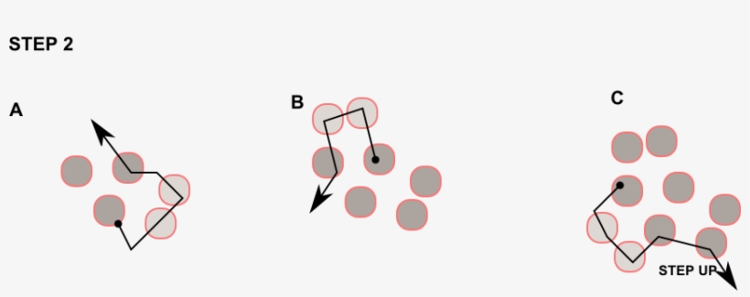 Step2 - Graphic Design PNG Image | Transparent PNG Free Download on SeekPNG