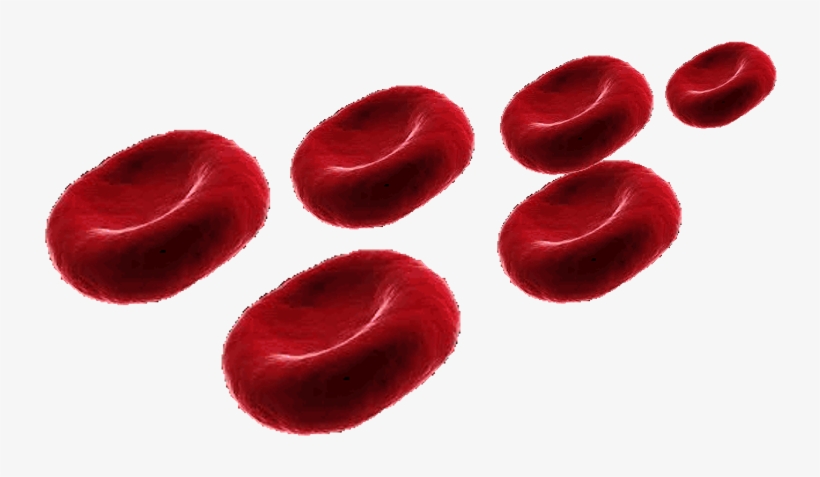 Blood Cells Png - Blood Cells Transparent PNG Image | Transparent PNG ...
