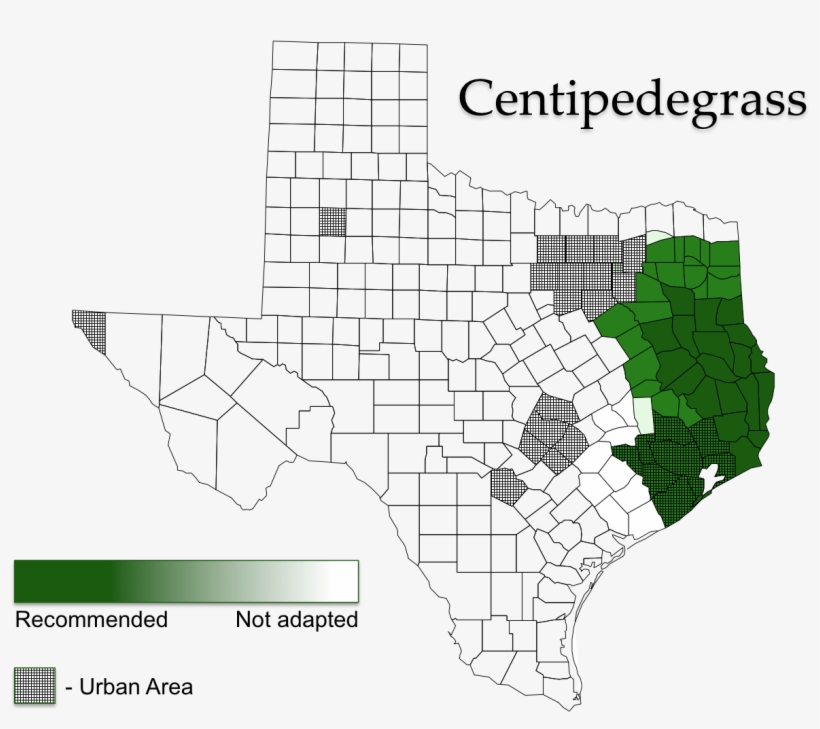 Centipedegrass Map - Alpha PNG Image | Transparent PNG Free Download on ...