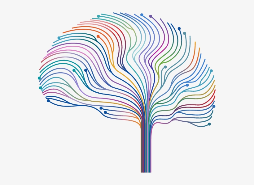 Brain Learning Network - Adhd PNG Image | Transparent PNG Free Download ...