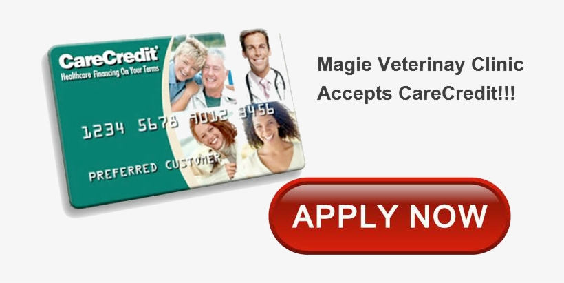 Common Vet Carecredit Q&a - Westinghouse Westinghouse Ltv-27w6 Hd - 27 ...