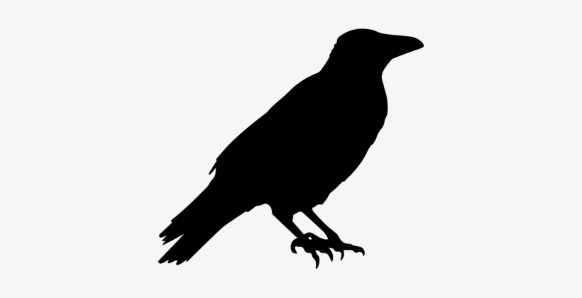 Download Crow Raven Animal Halloween Black Dark Bir - Edgar Allan Poe ...