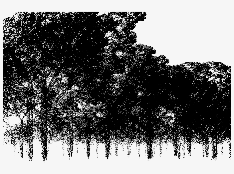 Popularity Contest - Forest Draw Png PNG Image | Transparent PNG Free ...