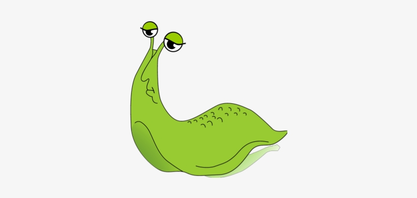 Slug PNG Image | Transparent PNG Free Download on SeekPNG
