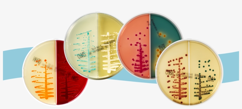 Bi-plate Range - Biplate Streak PNG Image | Transparent PNG Free ...