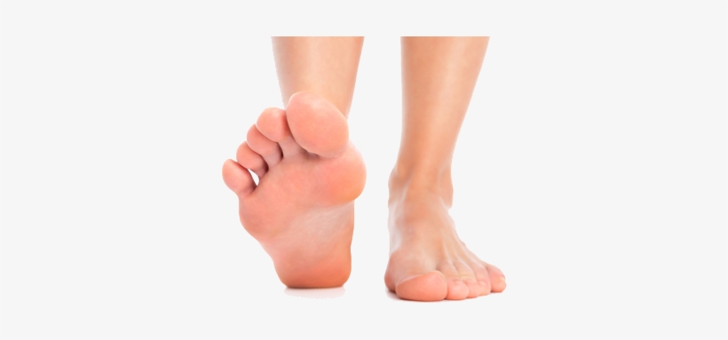 Download Graphic Freeuse Download Feet Png For Free Download - Healthy ...