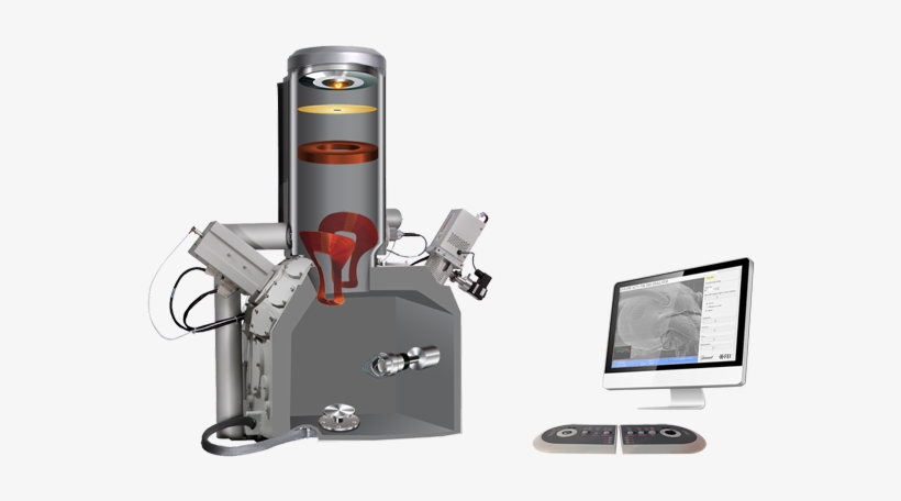 Intro How Does An Scanning Electron Microscope Work - Scanning Electron ...