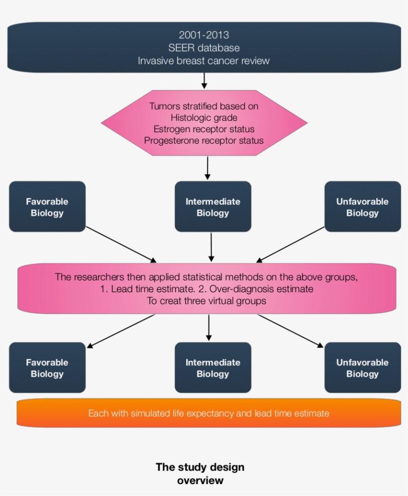 Patients Were Divided Into Three Prognostic Groups - Diagram PNG Image ...