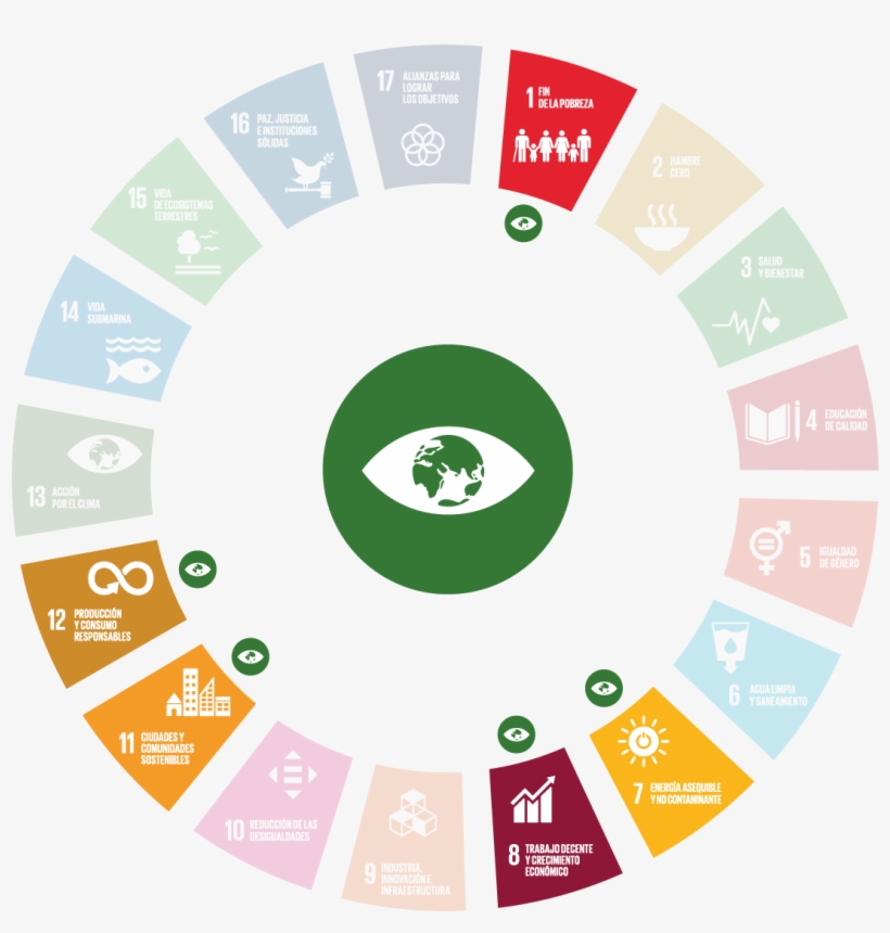 Download 17 Ods En Circulo Objetivo 4 | Transparent PNG Download | SeekPNG
