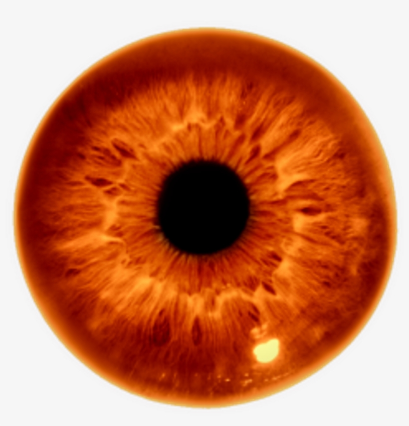 Vampire Vampiro Fire Fogo Eye Olho @lucianoballack - Red Eye Lens Png ...