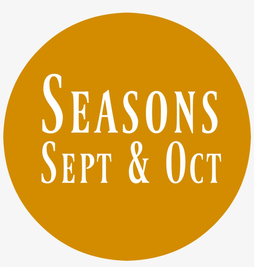 Harvest Festivals Celebrate The Bounty Of Fall - We Will Secure Our ...