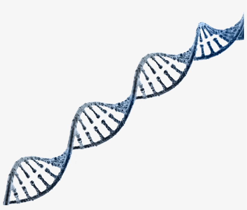 Dna Clipart