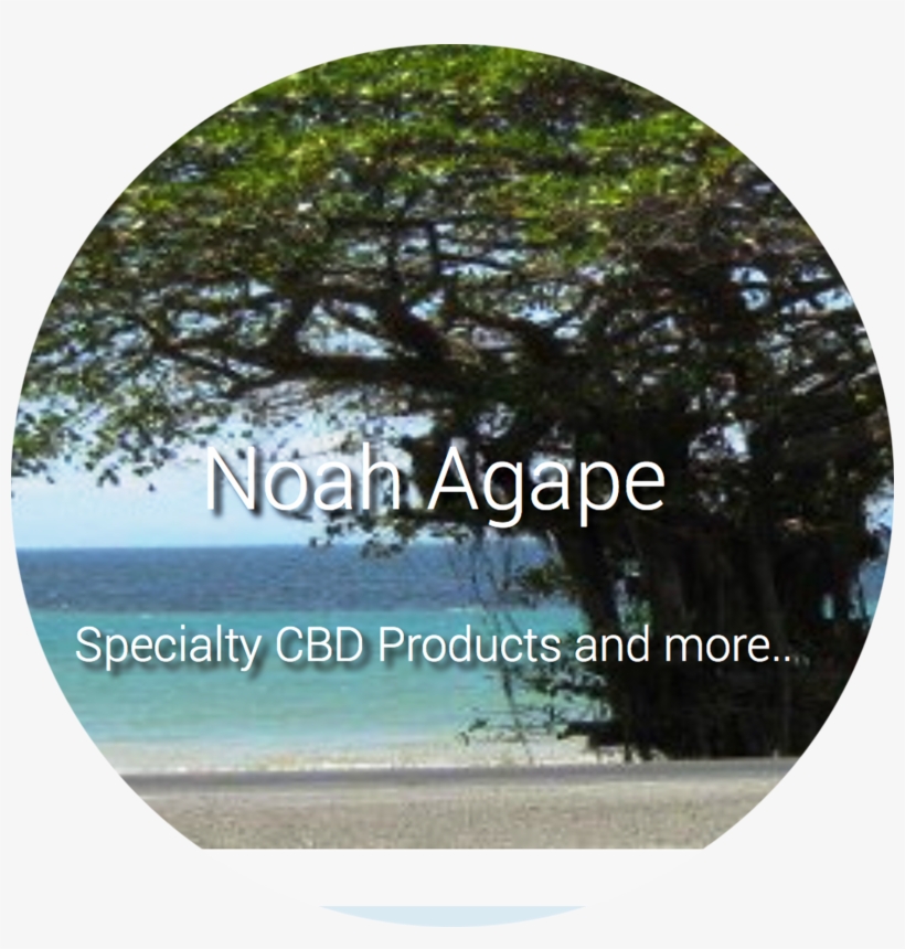 Noah Agape - Agape PNG Image | Transparent PNG Free Download on SeekPNG