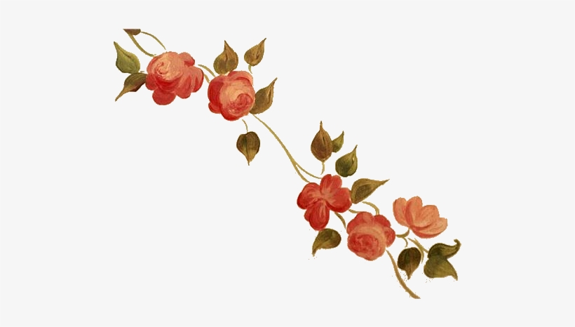 Photo Loose Rose Vine 1 - Rose Vine PNG Image | Transparent PNG Free ...
