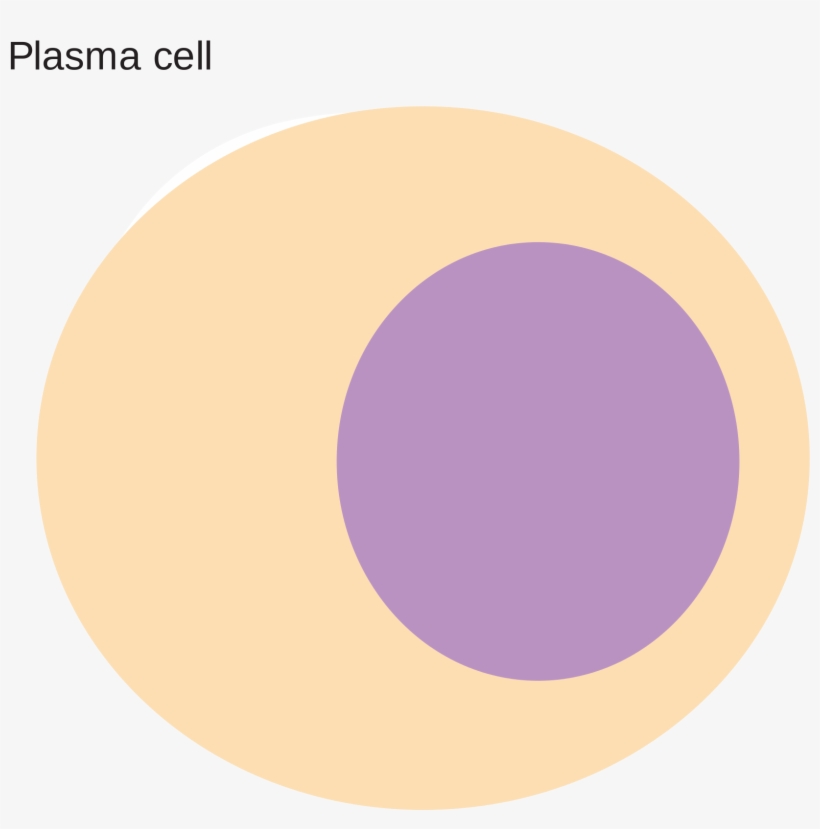 Open - Circle PNG Image | Transparent PNG Free Download on SeekPNG