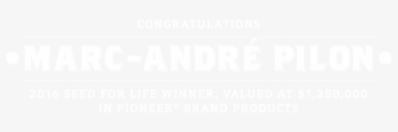 Header-winner - Poster PNG Image | Transparent PNG Free Download on SeekPNG