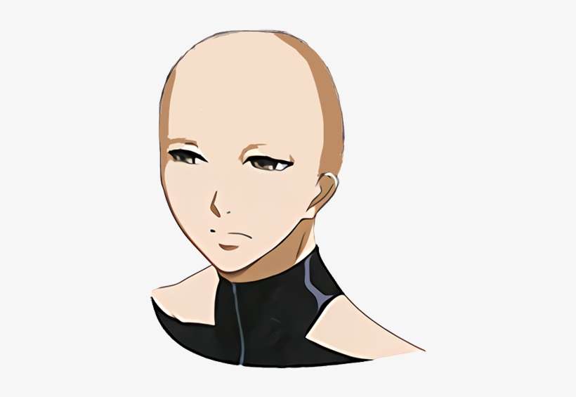 Download Toupee - - Illustration | Transparent PNG Download | SeekPNG