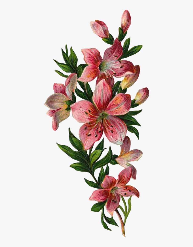 Dio PNG Images | PNG Cliparts Free Download on SeekPNG