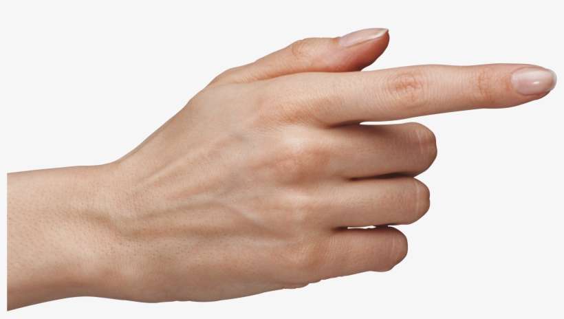 Hands Png - Man Hand Png PNG Image | Transparent PNG Free Download on ...