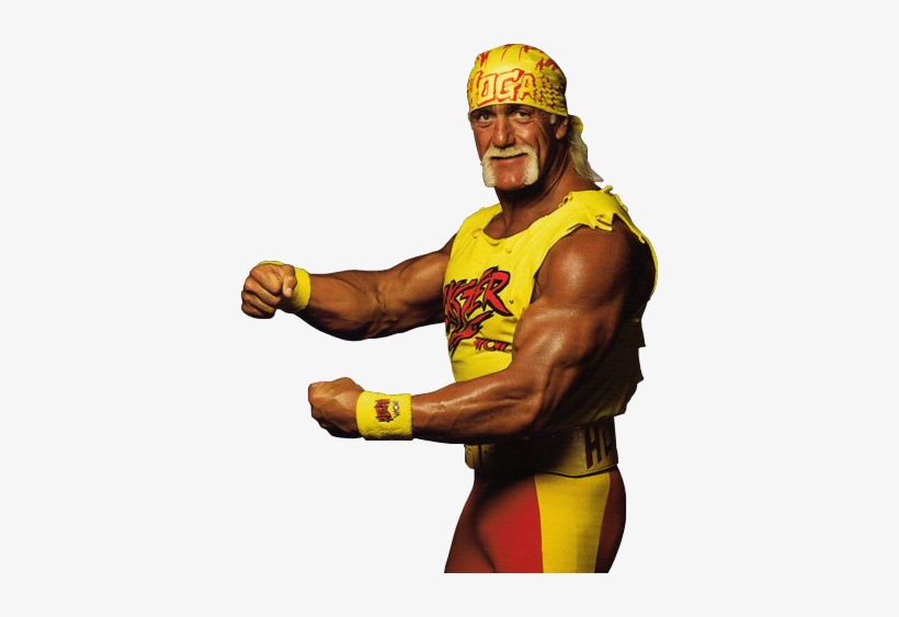 The Pursuit Of Glory - Hulk Hogan Wcw Png PNG Image | Transparent PNG ...