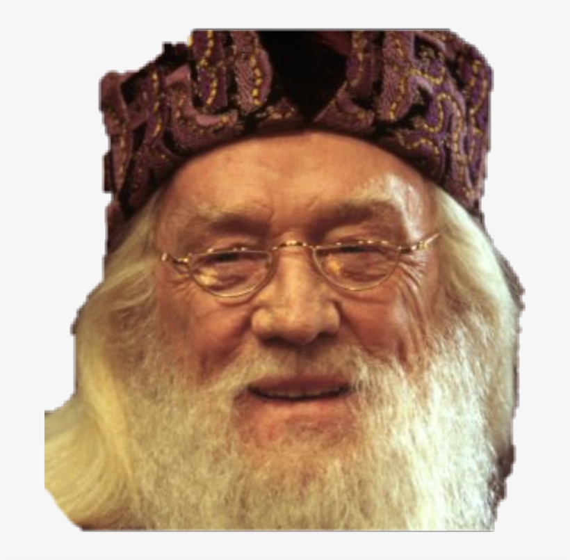 Download Harry Potter Albus Dumbledore Lar | Transparent PNG Download ...