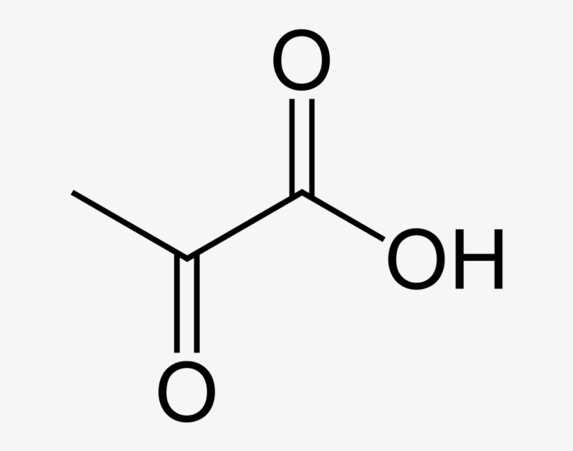 Pyruvic Acid Can Be Made From Glucose Through Glycolysis, - Cyclohexyl ...