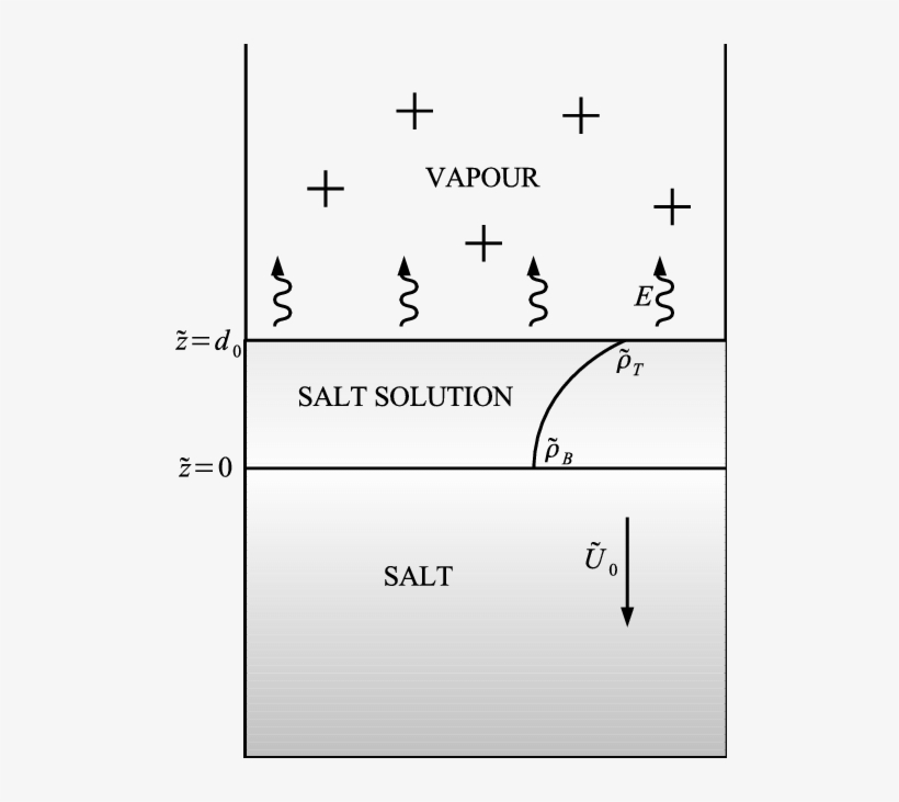 Schematic For The Planar Growth Of A Salt Crystal Due - Number PNG ...