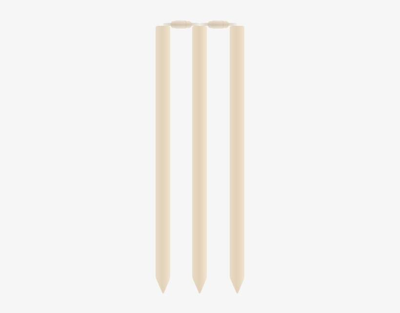 Download Cricket Stump Vector Png | Transparent PNG Download | SeekPNG