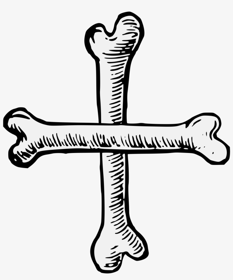 Download Details, Png - Bone | Transparent PNG Download | SeekPNG