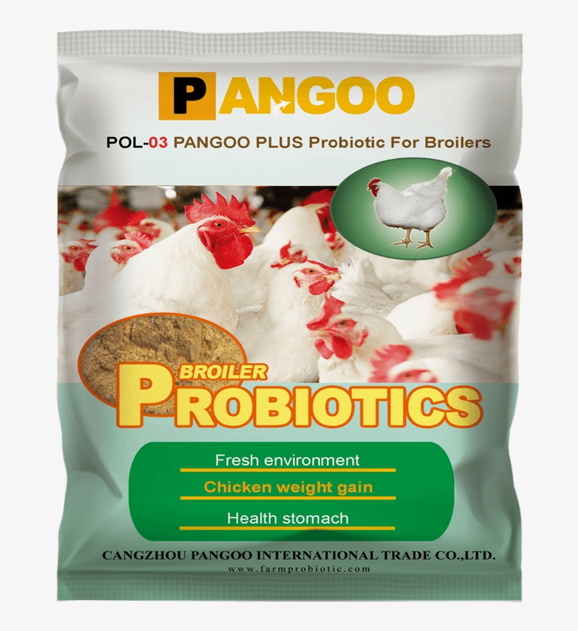 Poultry Probiotics For Broiler - Broiler Growth Promoter PNG Image ...