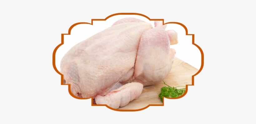 Suguna Chicken Logo Png