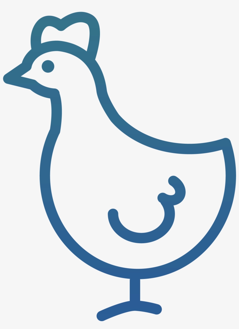 Broiler Chicken - Icon Poultry PNG Image | Transparent PNG Free ...