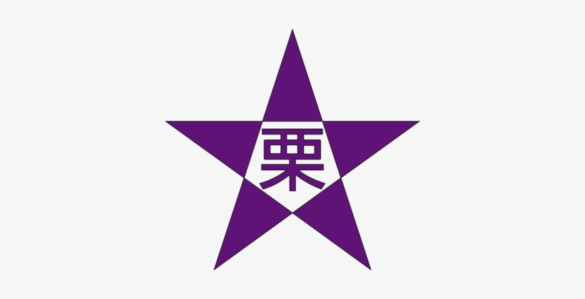 Pakistan National Cricket Team Logo The Magician's - Pakistan Cricket ...