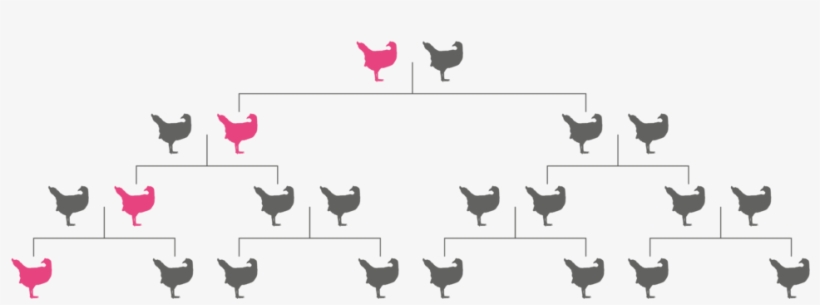 Pink Gene Doesn't Spread - Gene Drive PNG Image | Transparent PNG Free ...