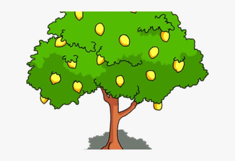 Clip Art Lemon Tree PNG Image | Transparent PNG Free Download on SeekPNG