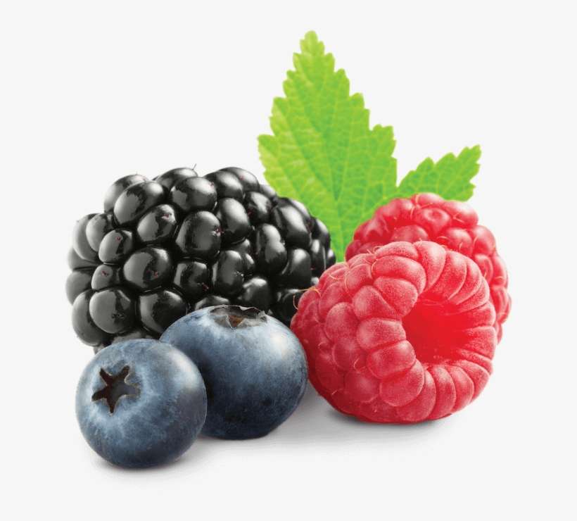 Clip Royalty Free Fruit Transparent Berry - Summer Berries PNG Image ...