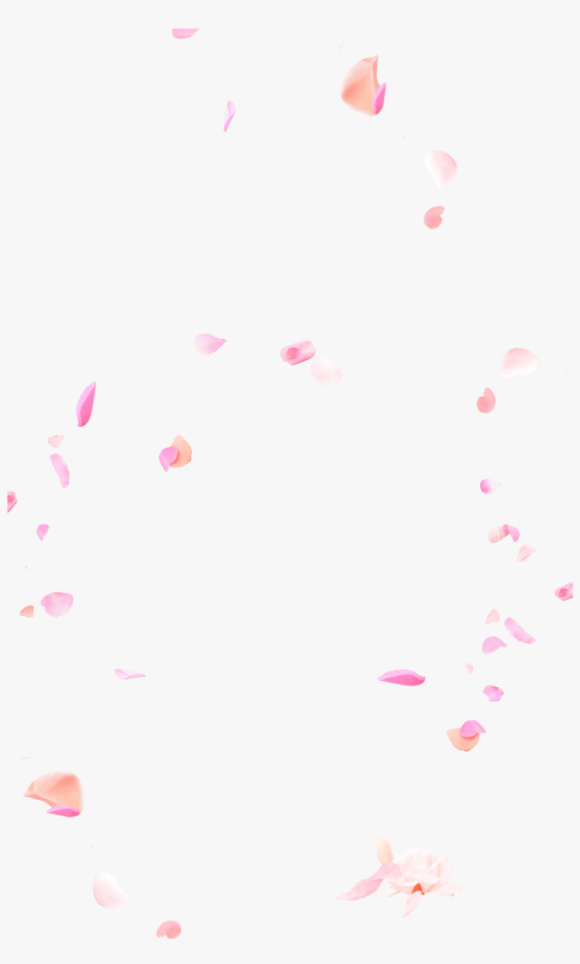 Falling Flowers Png - Flower PNG Image | Transparent PNG Free Download ...