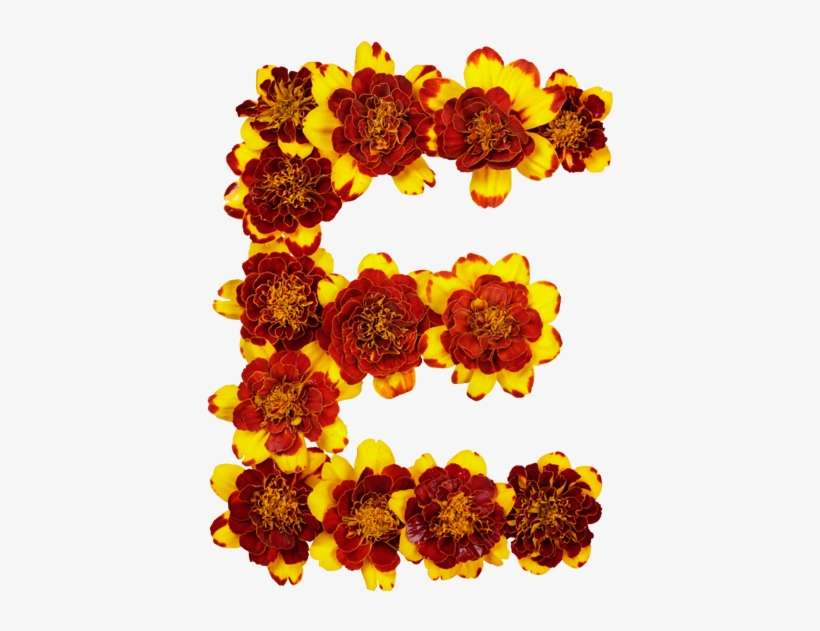 12 Flower Letters Font Images Flower Fonts Alphabet - Flower Letter E ...