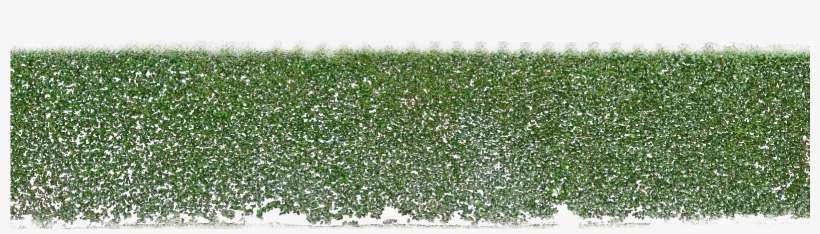 Background Png Hedges Hd Transparent - Transparent Background Hedges ...