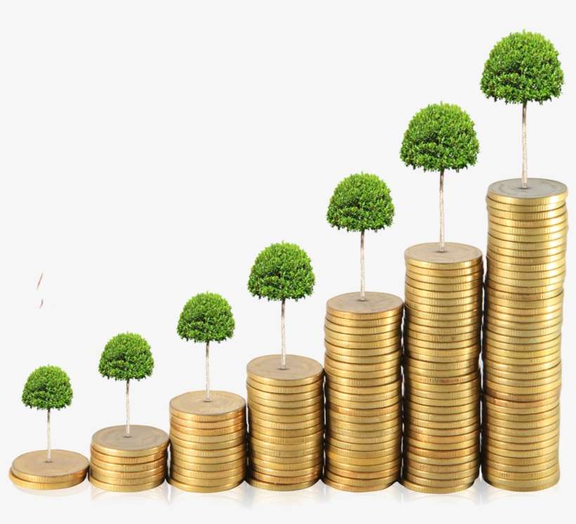 Growing Your Money - Book On Money Management: Learn The 3 Secrets To ...