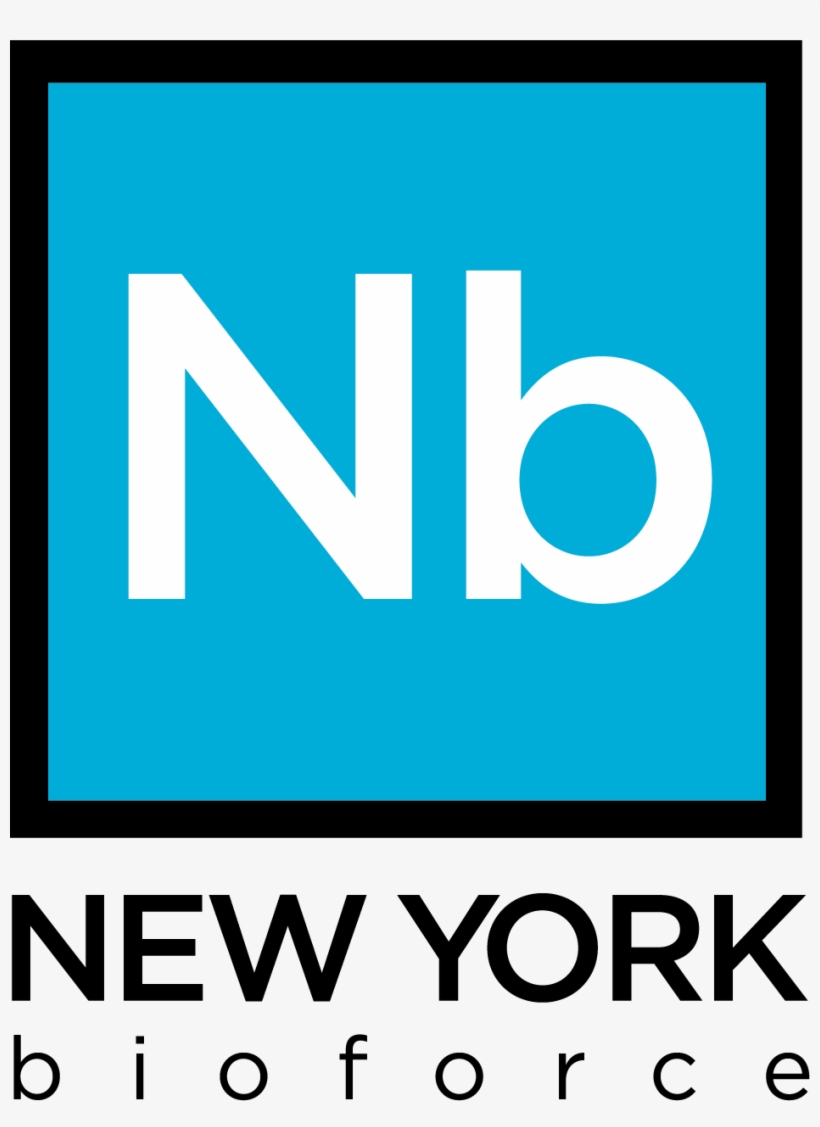 Nb Box Horiz And Vert Selected Outlined Vert - Cocoon In The Park 2011 ...