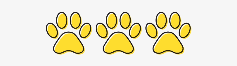 3 Paws - Dog PNG Image | Transparent PNG Free Download on SeekPNG