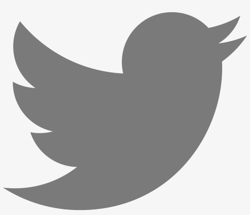 Twitter Grey Logo Png PNG Image | Transparent PNG Free Download on SeekPNG