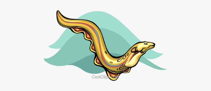 Moray Eel Clipart
