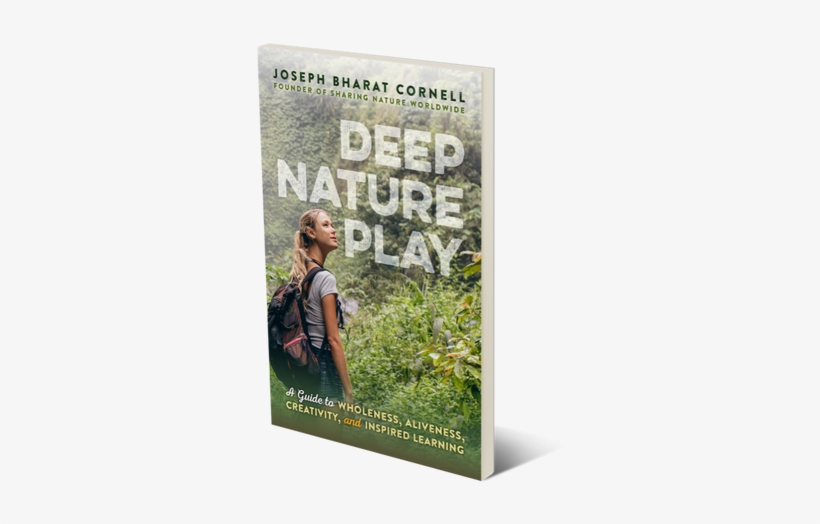 Deep Nature Play By Joseph Bharat Cornell PNG Image | Transparent PNG ...