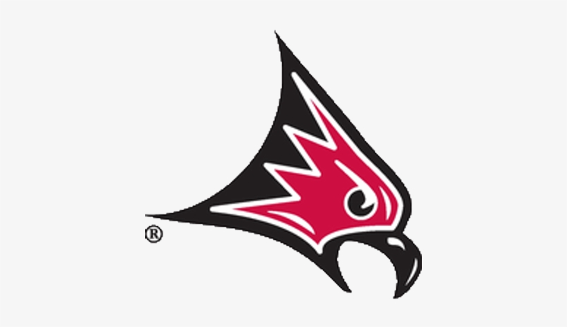 University Of Wisconsin River Falls - Uwrf Falcon PNG Image ...