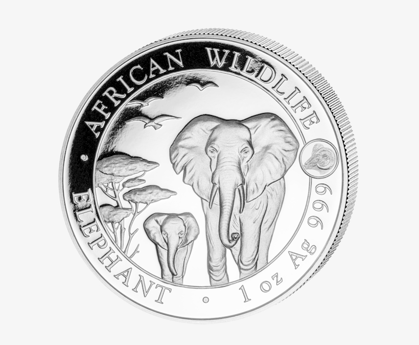 2015 1 Oz Silver Coin - Somali Elephant Silver Coin PNG Image ...