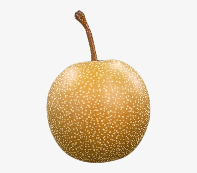 Download Free Png Asian Pear Png Images Transparent - Asian Pear Png ...