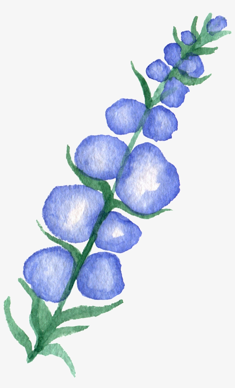 Blue PNG Image | Transparent PNG Free Download on SeekPNG