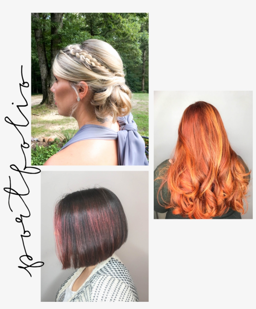 Portfolio Header - Artist PNG Image | Transparent PNG Free Download on ...